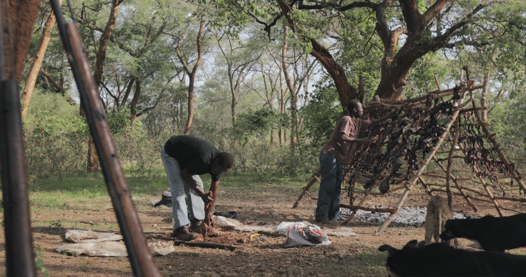 The illegal bushmeat trade: An organised crime - Careers in ...